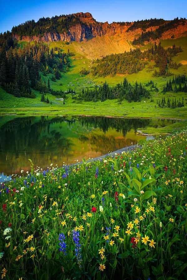 Gary Richard Walcott Obituary - Monroe, WA