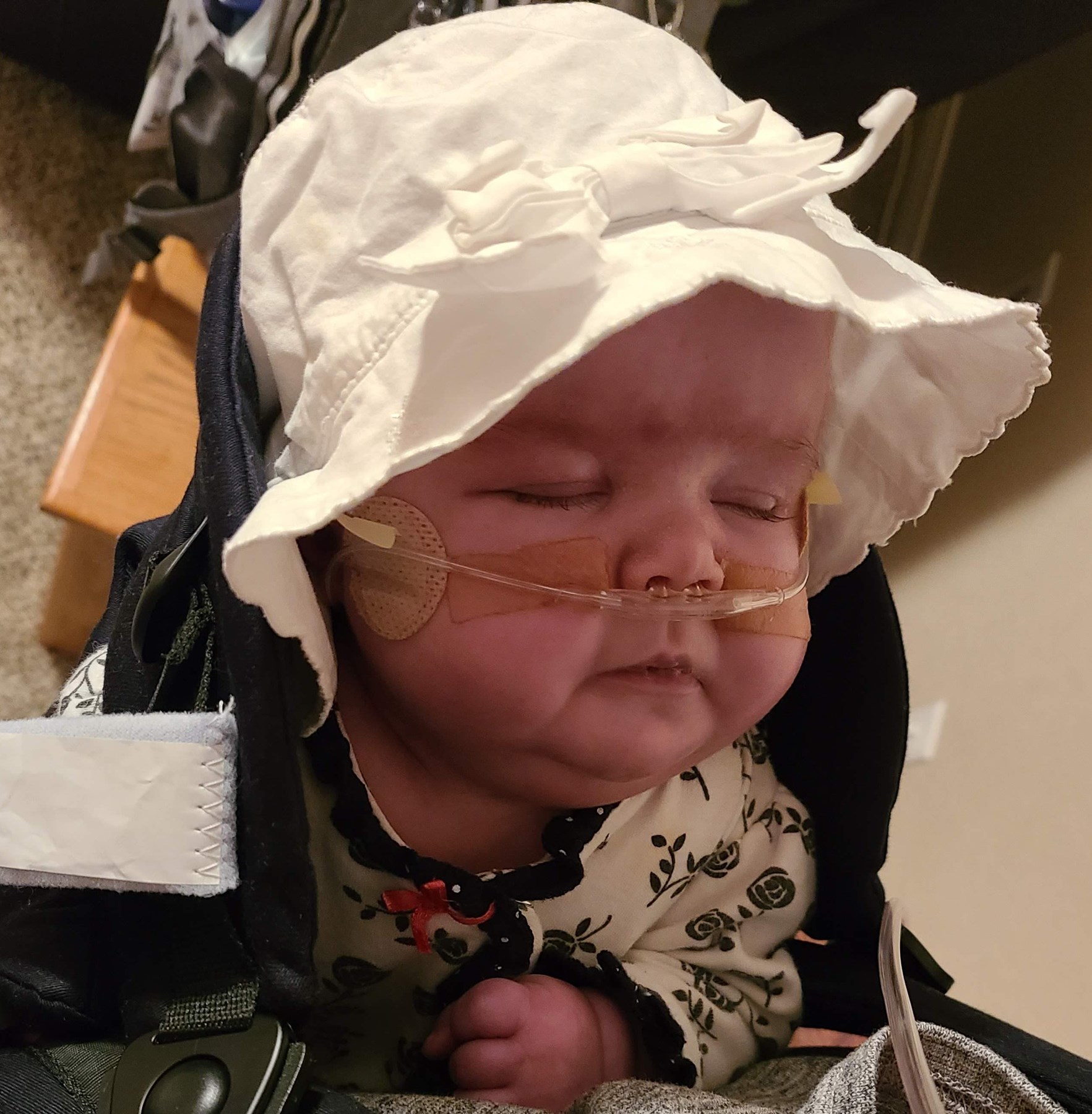 Madeline Mae Johnson Obituary - Colorado Springs, CO