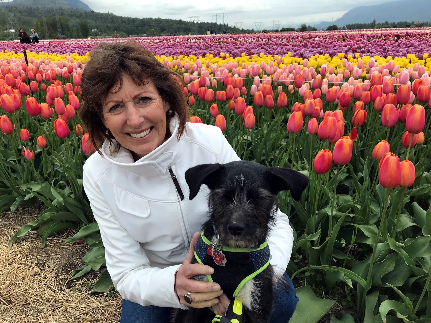 Karen Lidster Obituary - North Vancouver, BC
