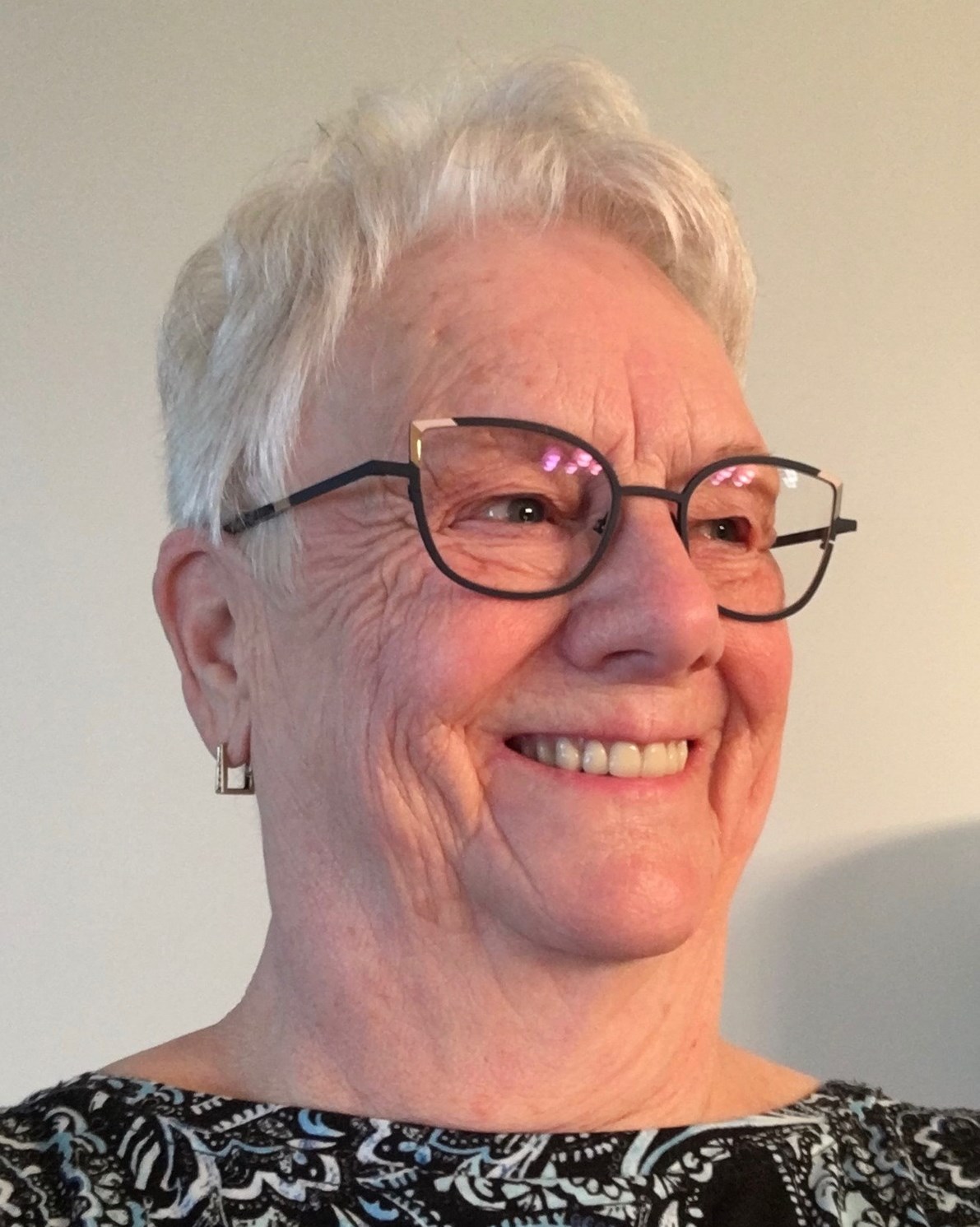 Dianne Eleanor Zyblock Obituary - Thornhill, ON