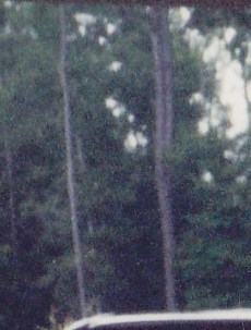 Wilbur Lewis Richardson Obituary - Montgomery, AL Wilbur Lewis Richardson Obituary - Montgomery, AL