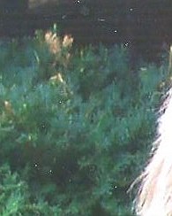 Darlene Power Obituary - Spokane Valley, WA Darlene Power Obituary - Spokane Valley, WA