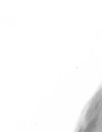 Paul Donnelly Obituary Nashua Nh