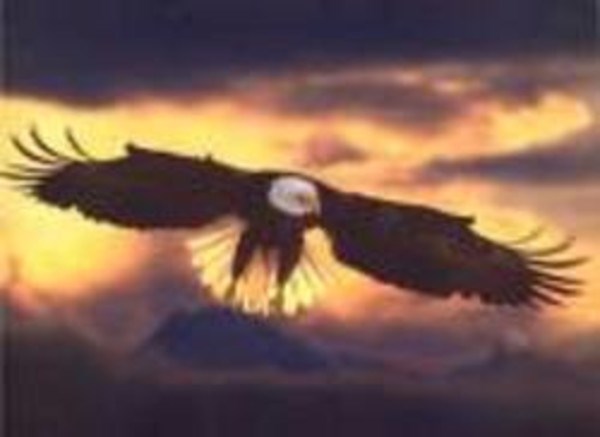 Linda Arnold Obituary - Levittown, PA