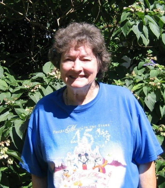 Phyllis Kribble Obituary - Seattle, WA