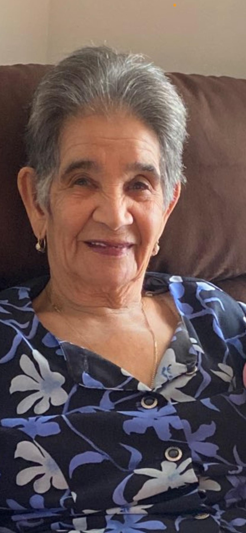 Elida Castillo Obituary - West Palm Beach, FL