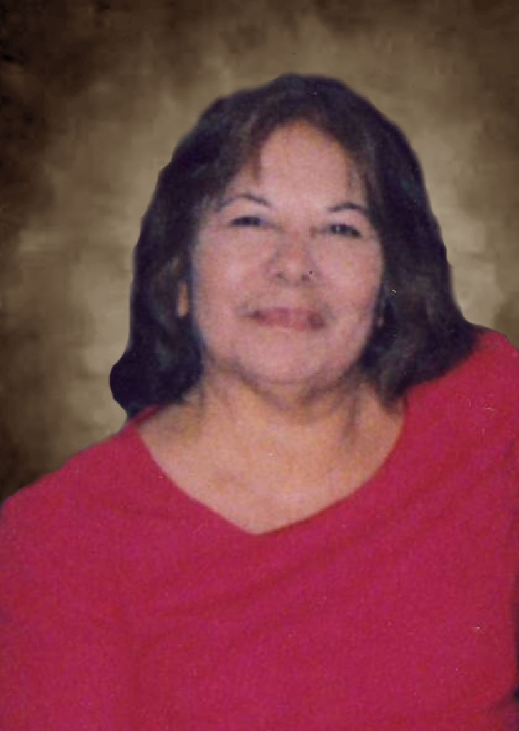 Louisa Ana Camacho Obituary - Houston, TX