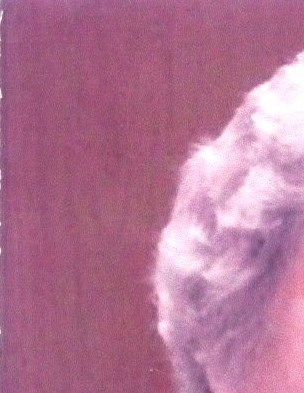 Constance Constance