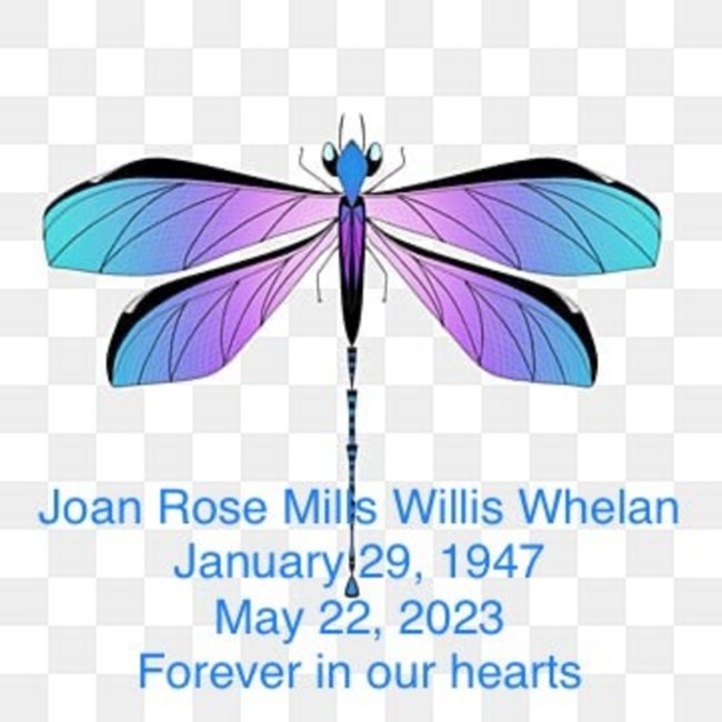 Joan Whelan Obituary - Norfolk, VA