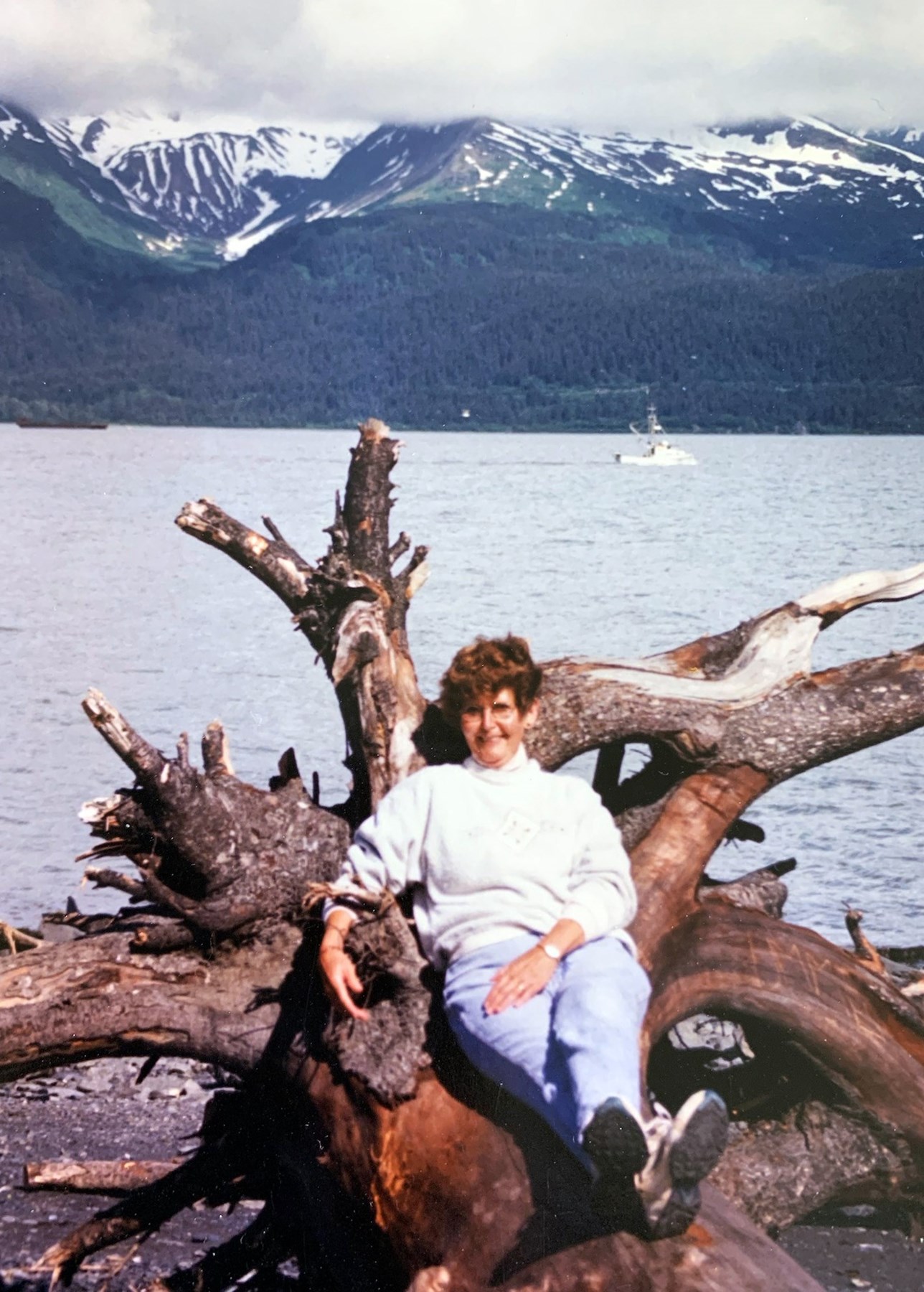 Janet Semrad-Lehmann Obituary - Mesa, AZ