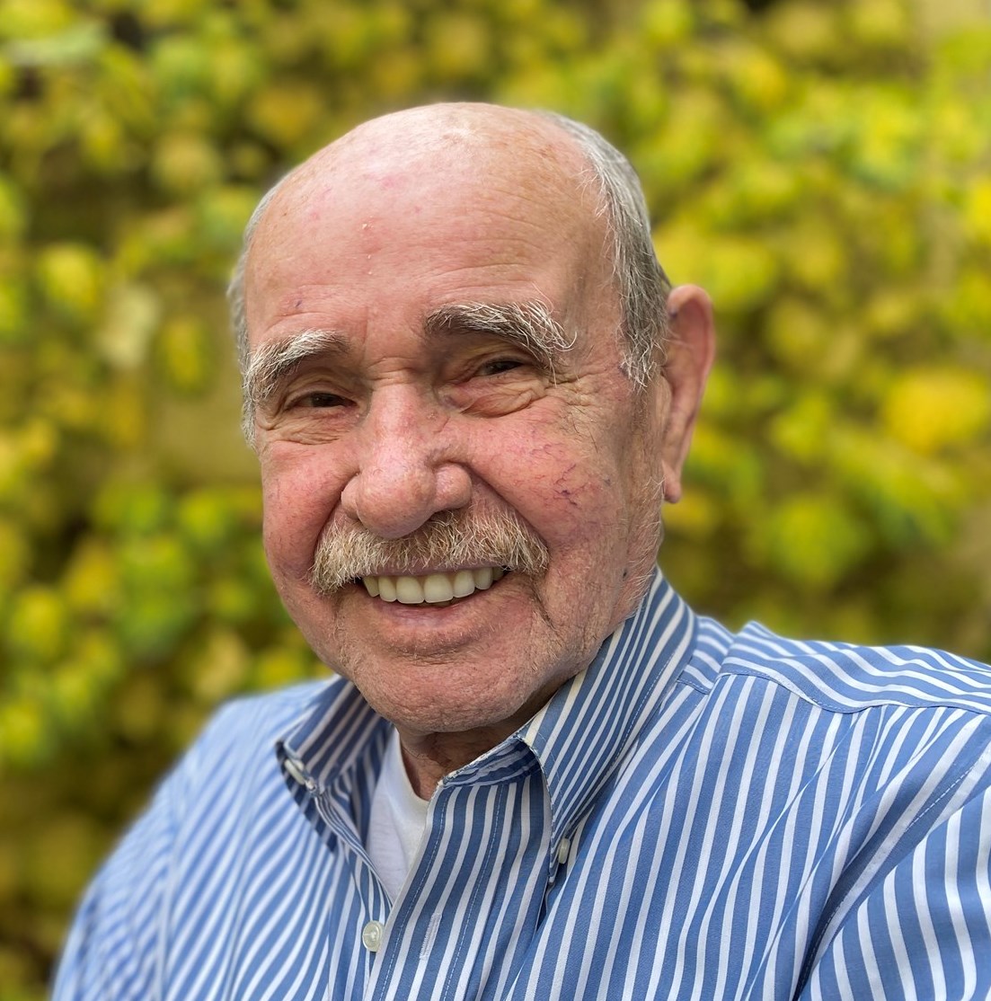 Peter Crawford Obituary - Toronto, ON