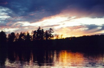 Allan Purcell Obituary - Peterborough, ON