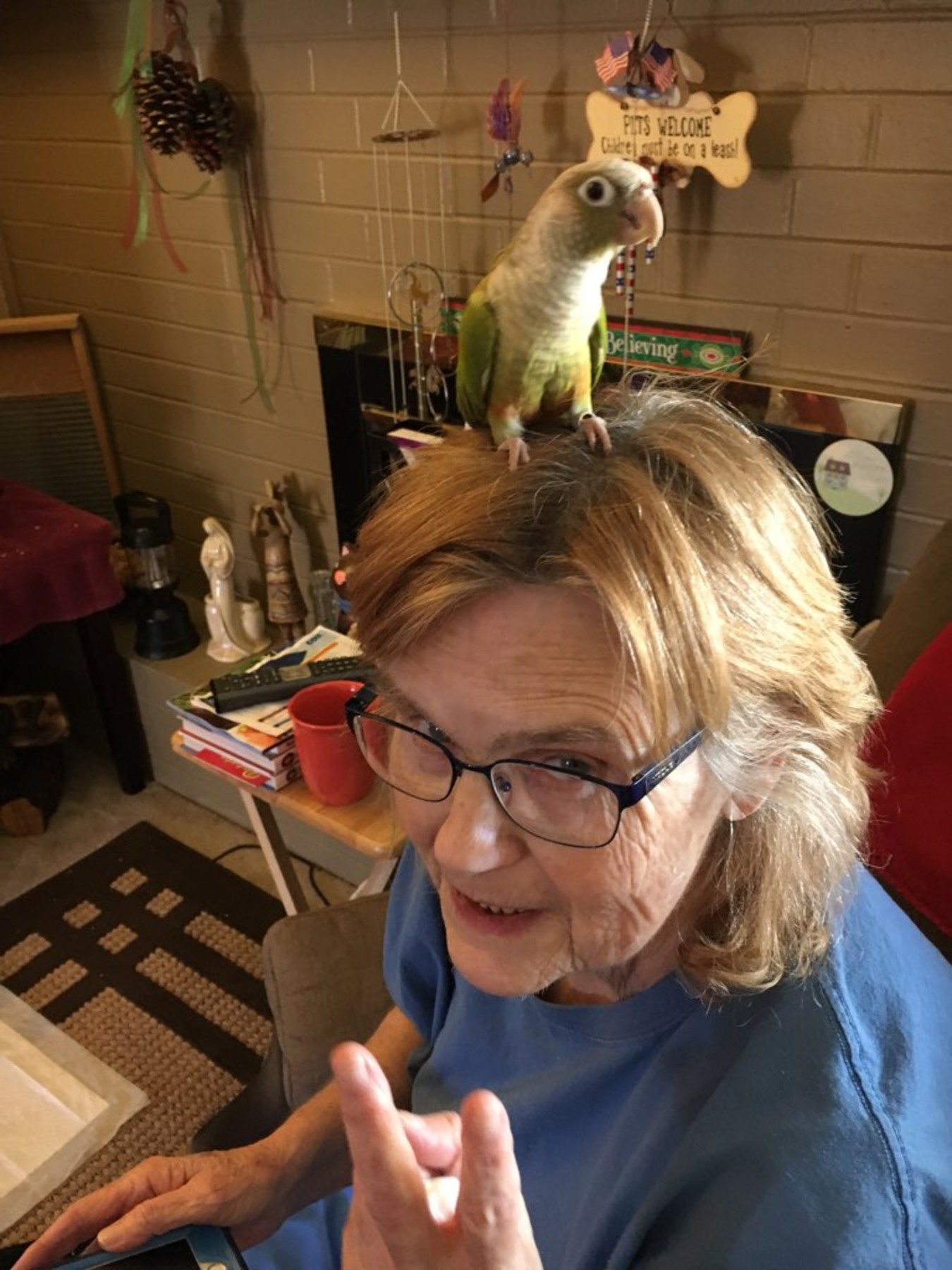 Josephine Watson's Instagram, Twitter & Facebook on IDCrawl
