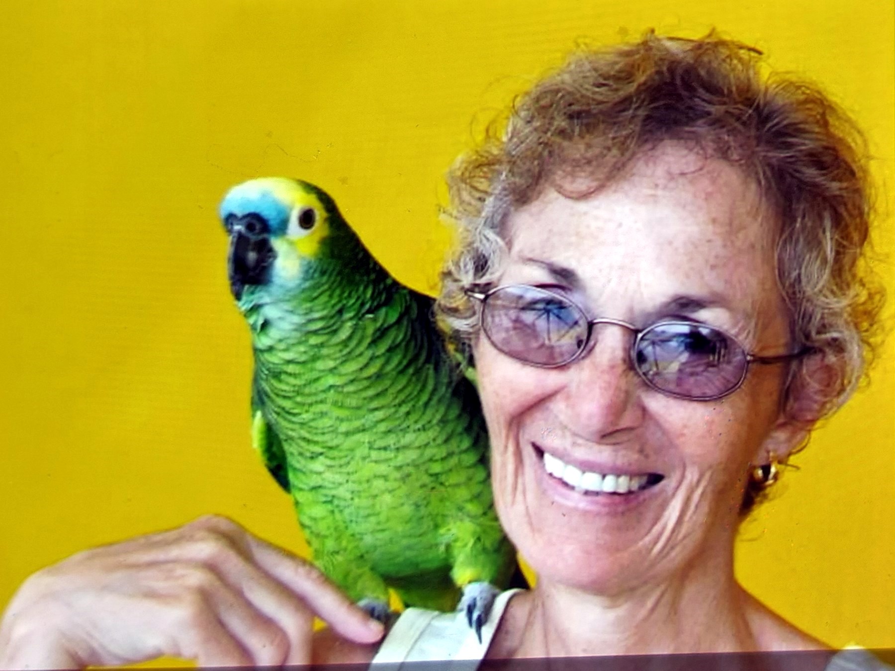 Susan Joan Laschiver Hahn Obituary - Sun City, AZ