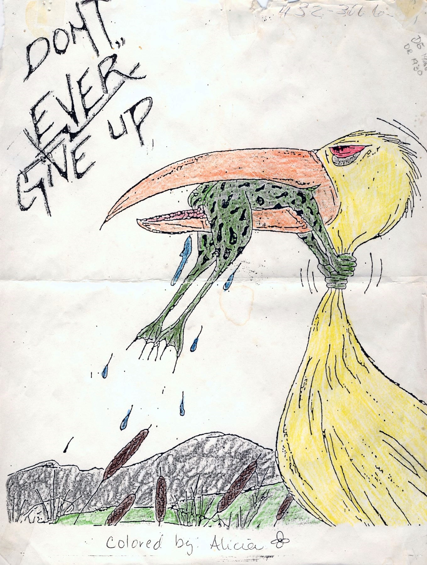 Never Give Up Frog Choking Bird