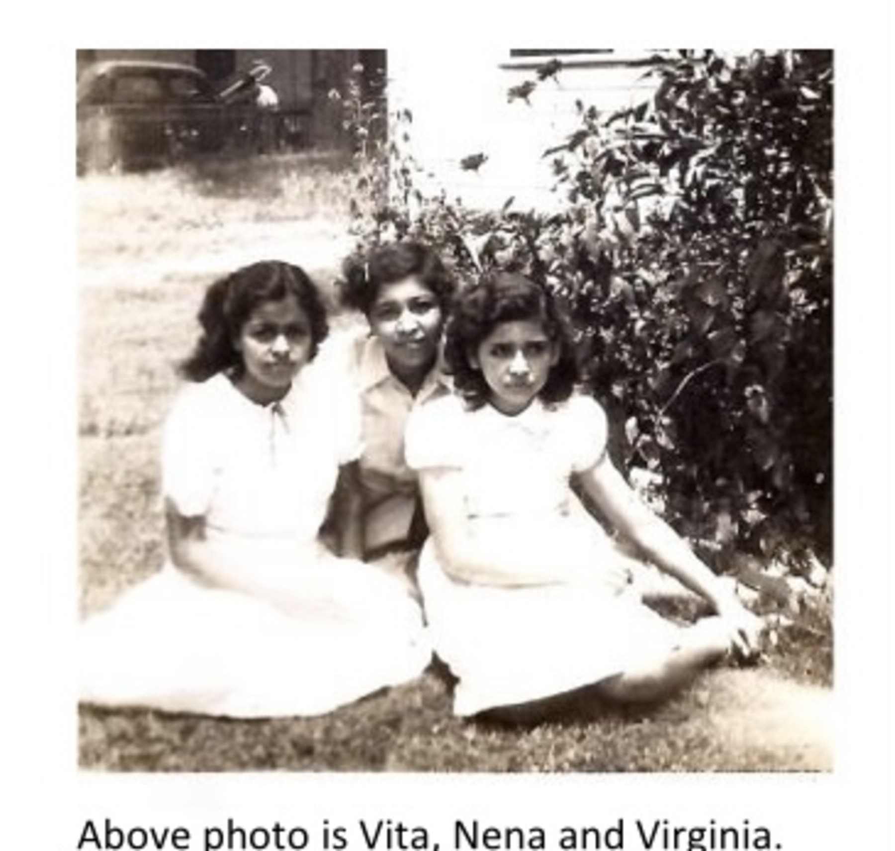 Paula G Trejo Obituary - Houston, TX