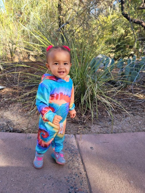 Kaliiana Hogan Obituary - Chandler, AZ