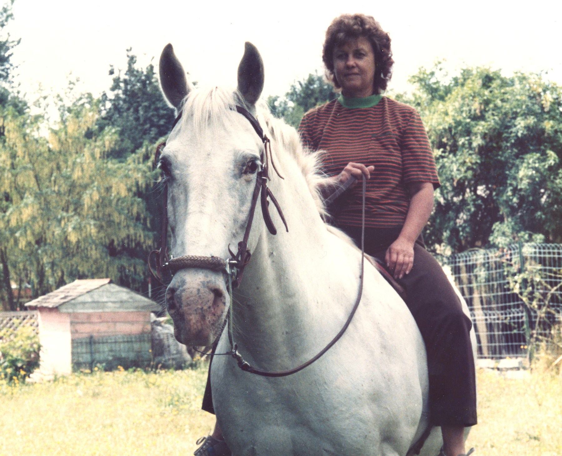 Delorez Mayes Obituary - Renton, WA