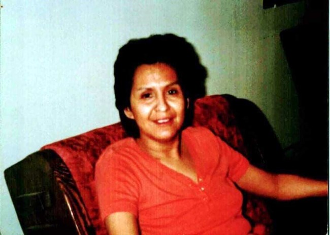 Elvira Ramirez Obituary - Stickney, IL