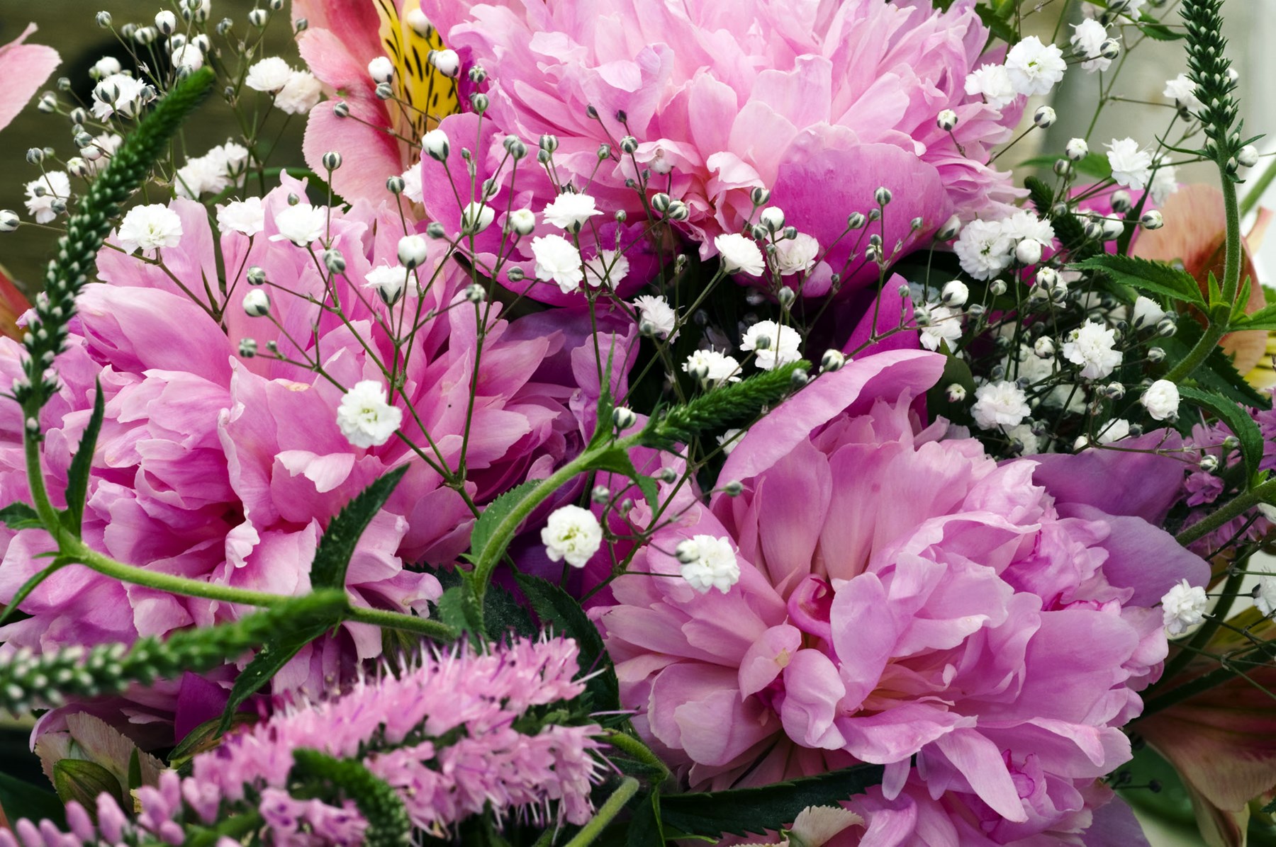Joyce Baker Obituary - Stafford, VA