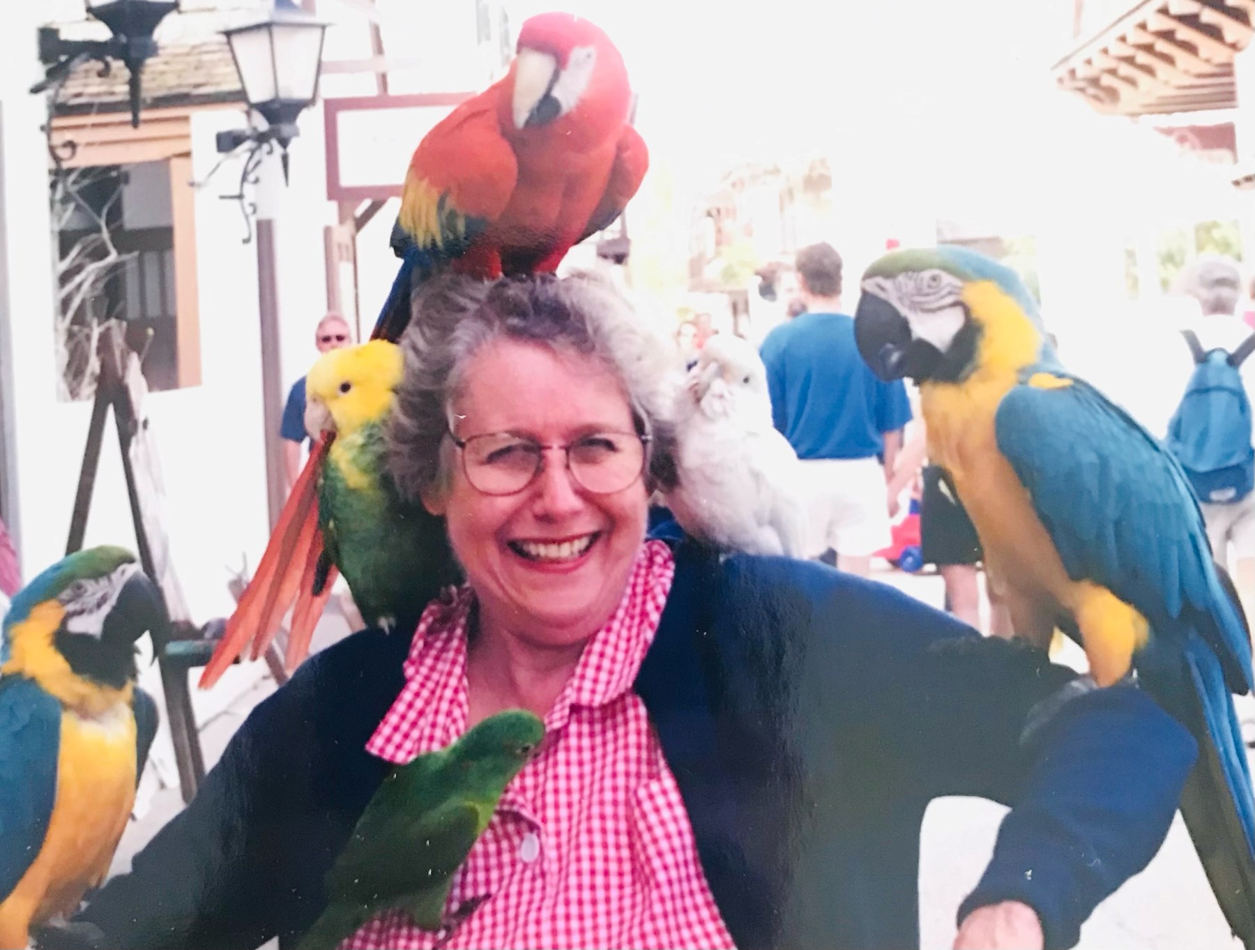 Barbara Crisler Bassett Obituary - Houston, TX