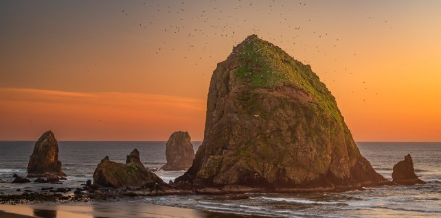 Steven Jensen Obituary - Portland, OR