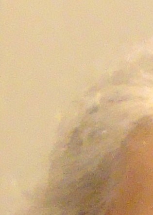 Flora Dupuis Née Viens Obituary Longueuil Qc