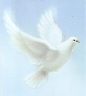 Gary Schaefer Obituary - Raeford, NC