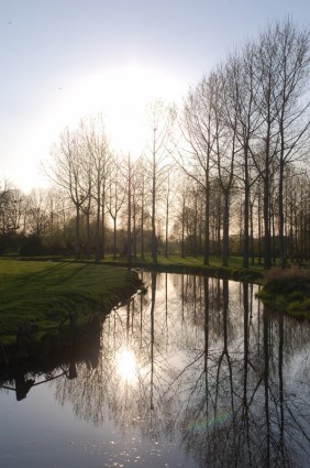 David Dison Obituary - El Dorado, AR