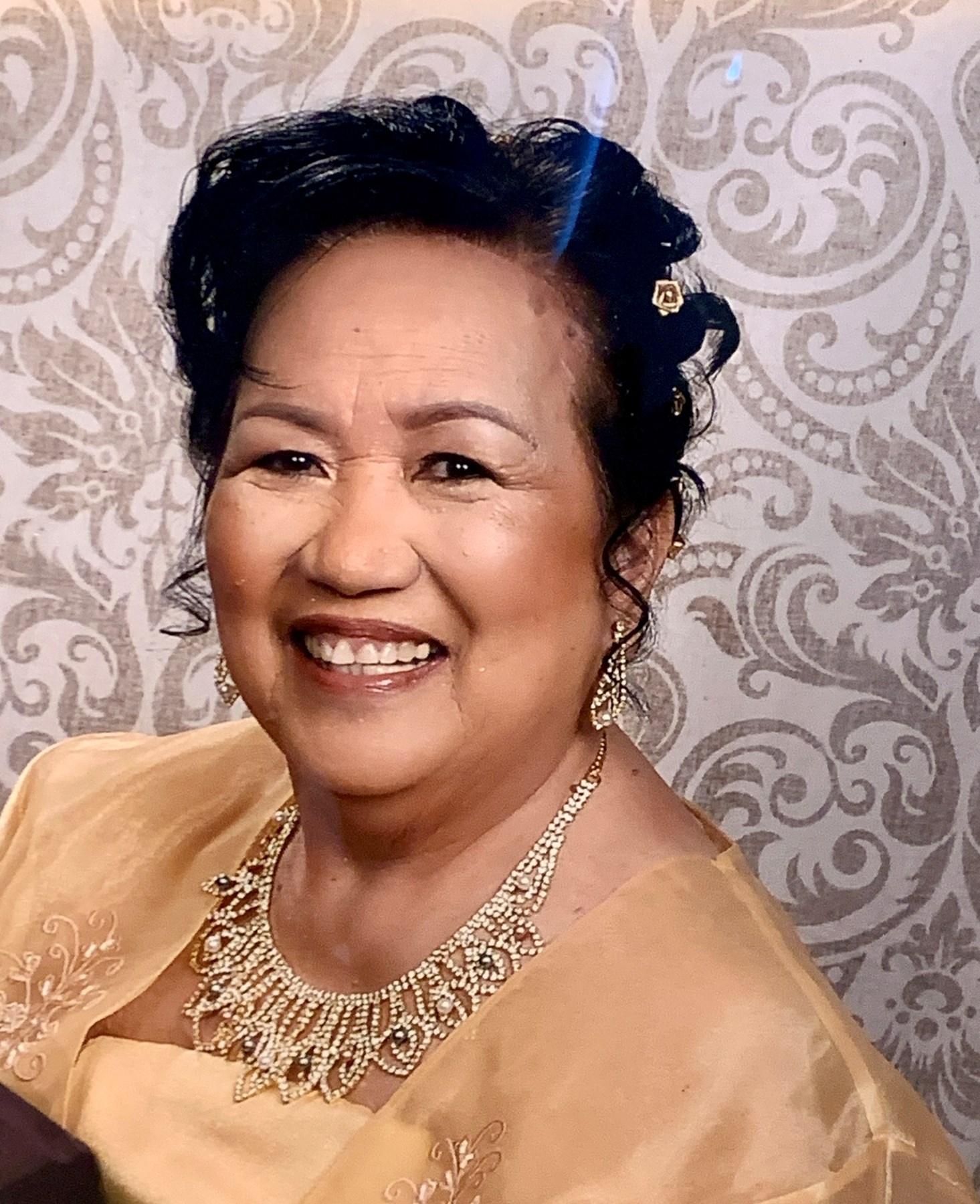 Virginia Matildo Ontoy Obituary - Houston, TX