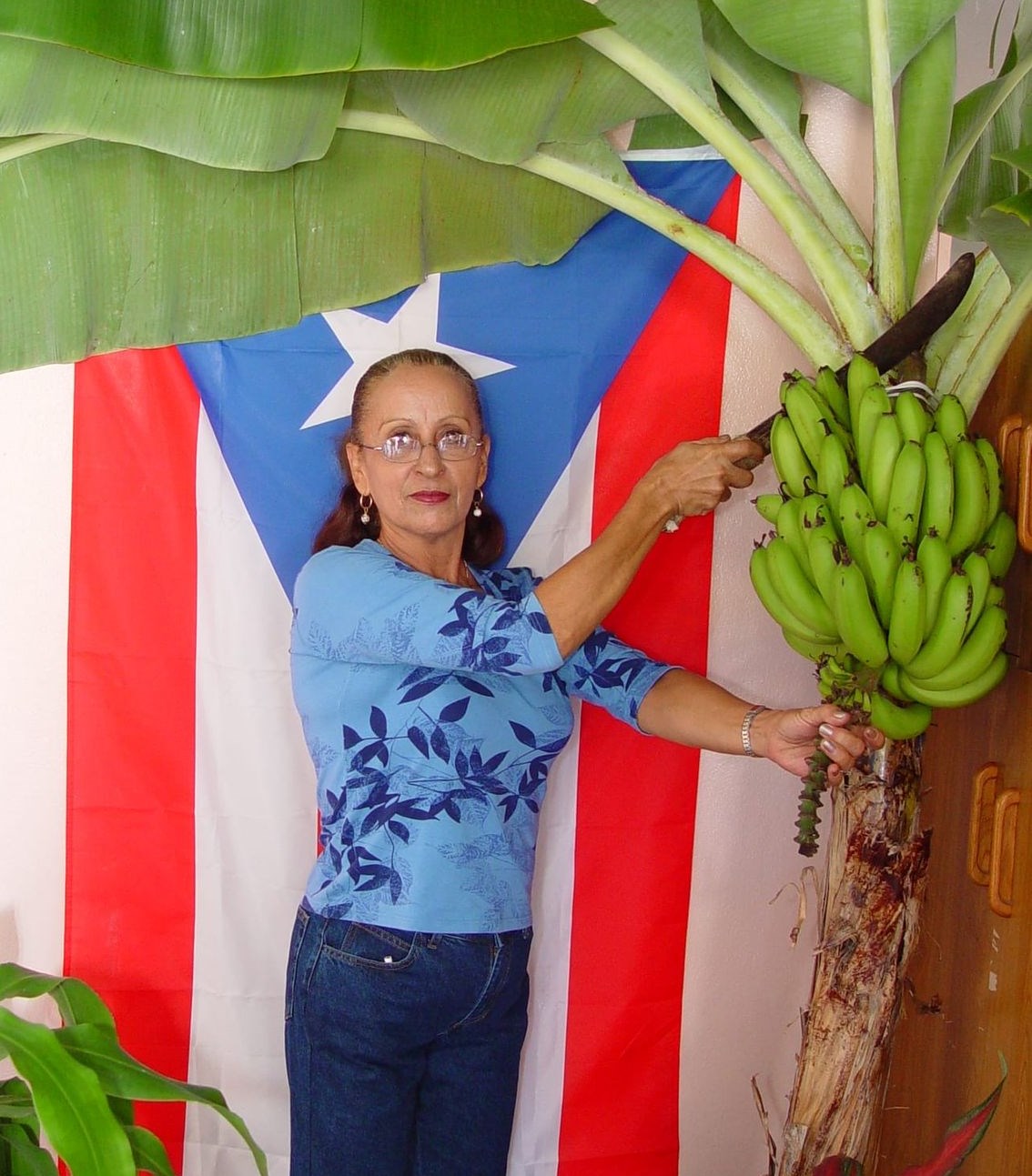 Marta Rodríguez Ortiz Obituary - Bayamon, PR