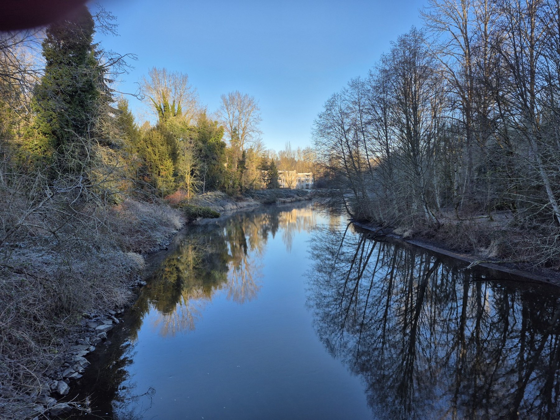 Christine Eisenberg Obituary - Bothell, WA