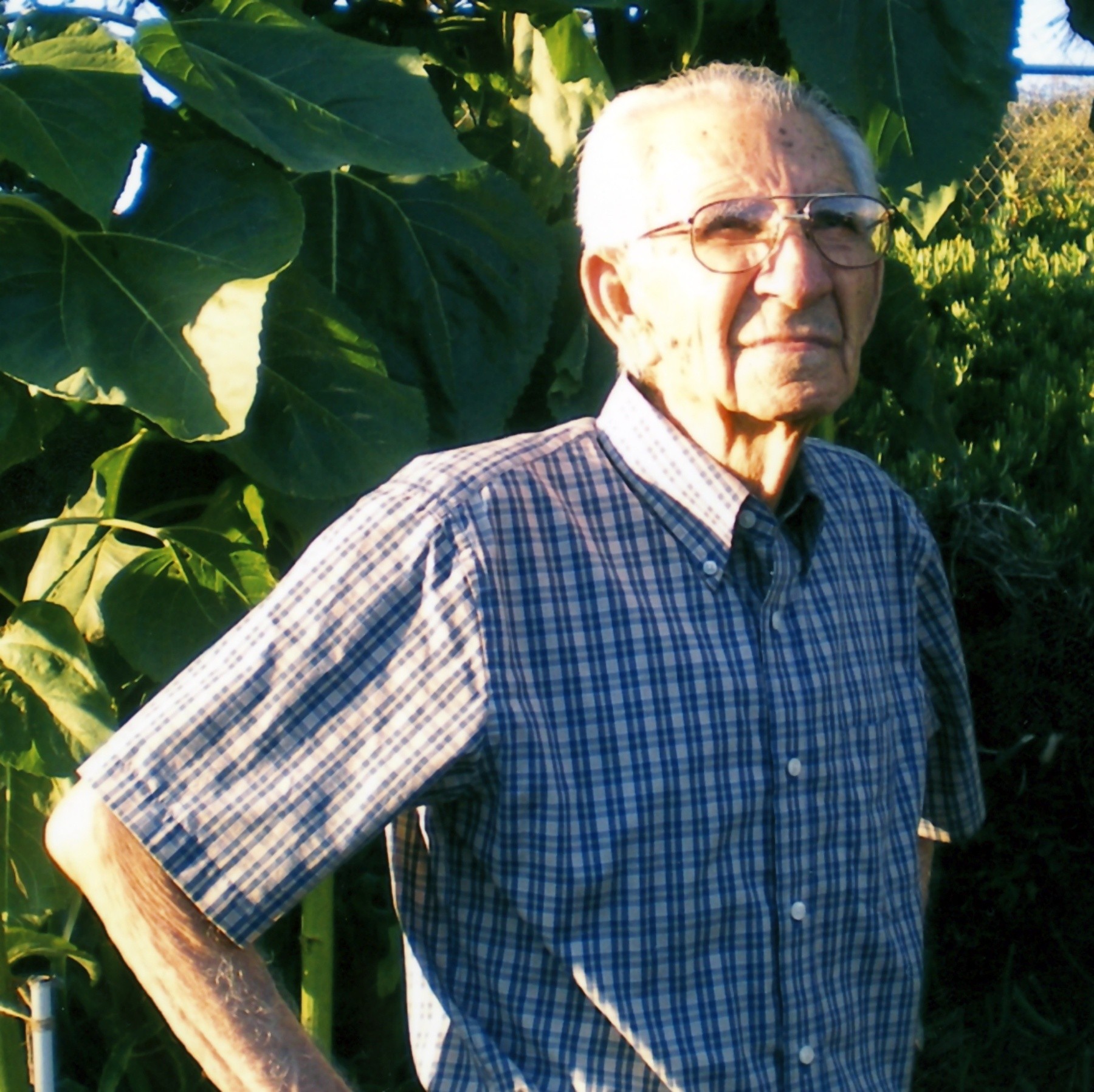 Luis C. Mazon Obituary - Bonita, CA