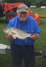 Houston, TX Obituaries | Find Houston Obituaries