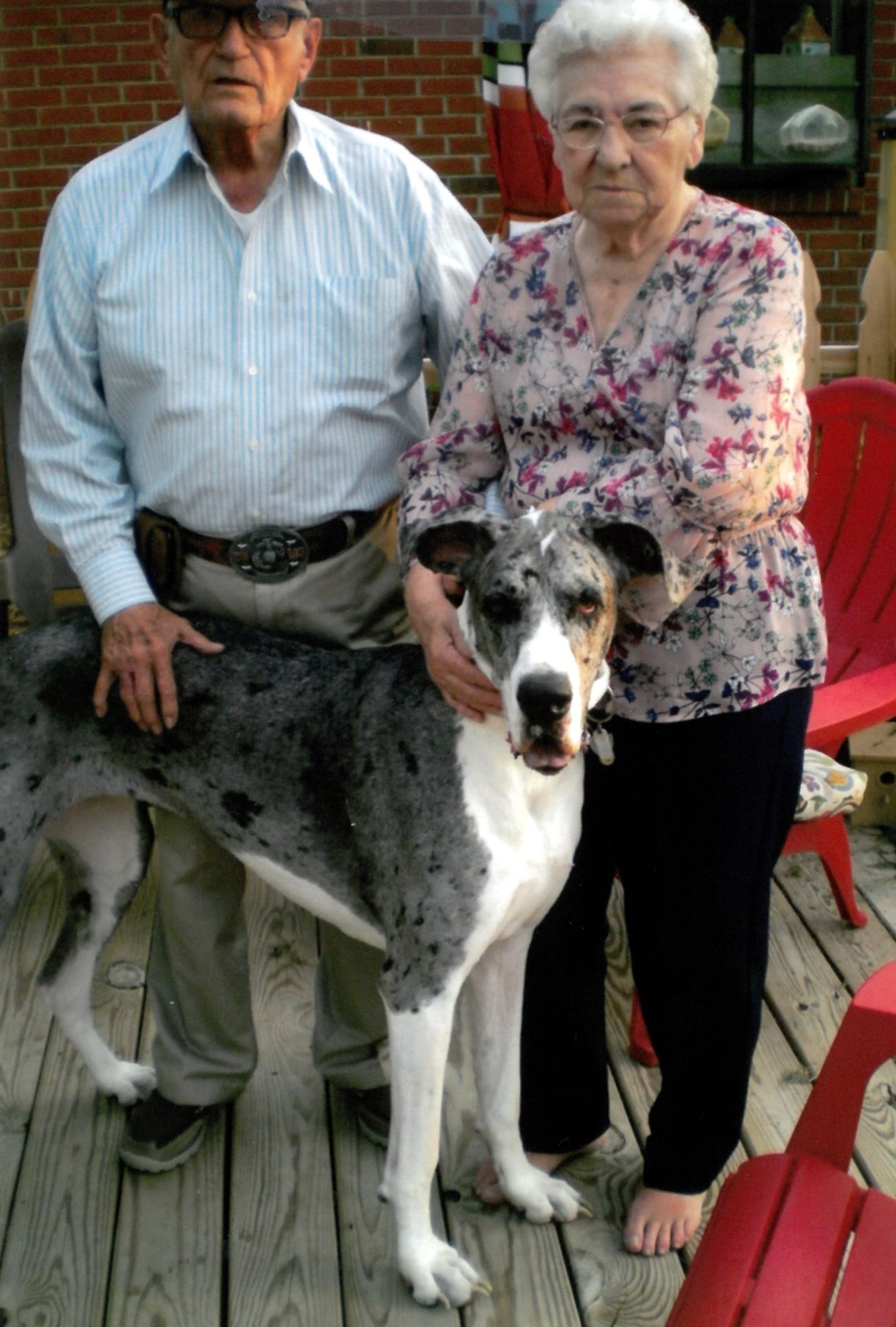 Peggy Giasson Obituary - New Bern, NC