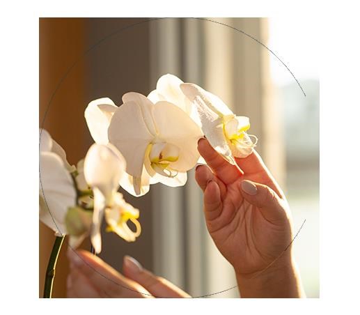 Ruth Pickering Obituary - Paris, TX