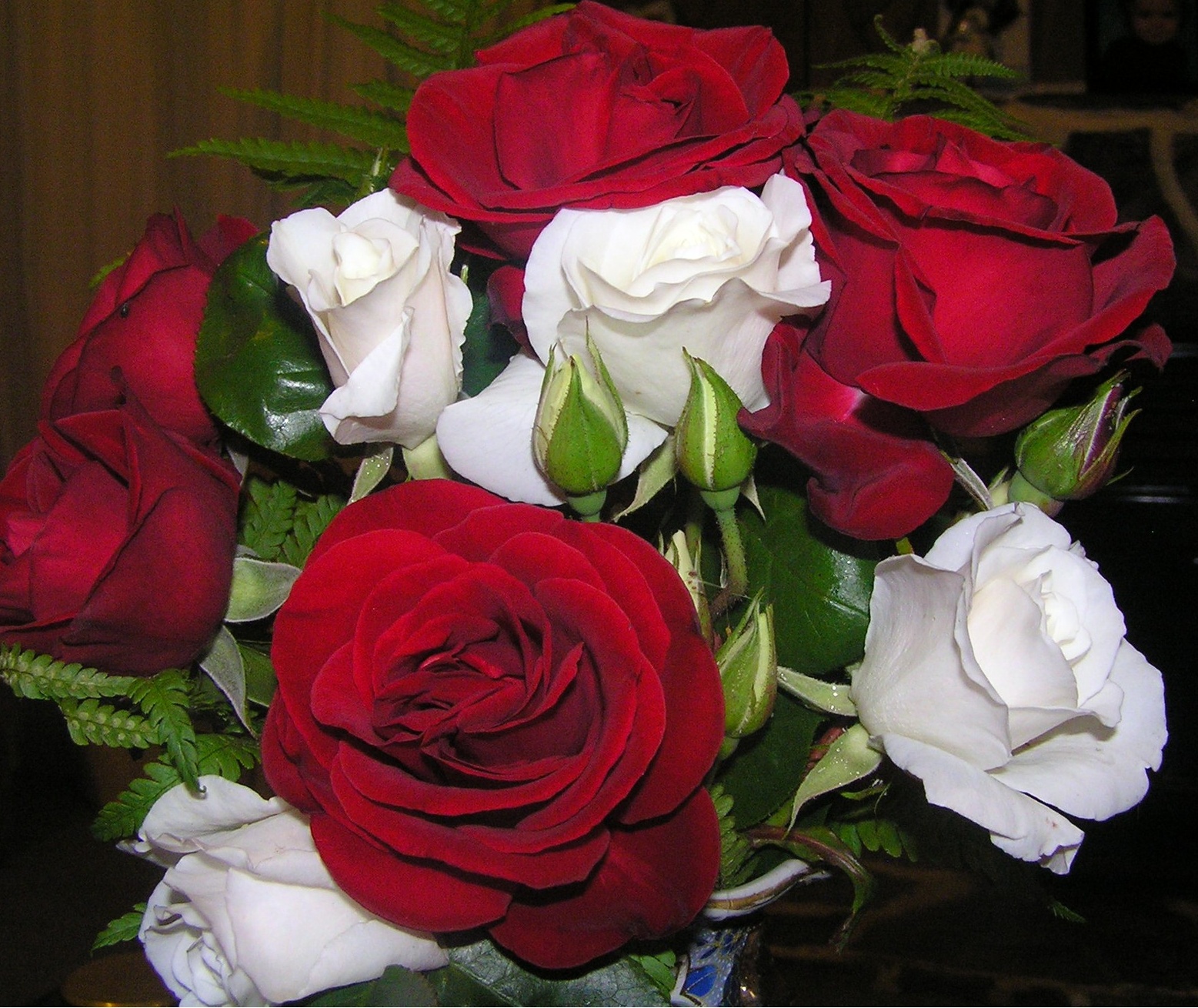 Judith Crump Frayser Obituary - Richmond, VA