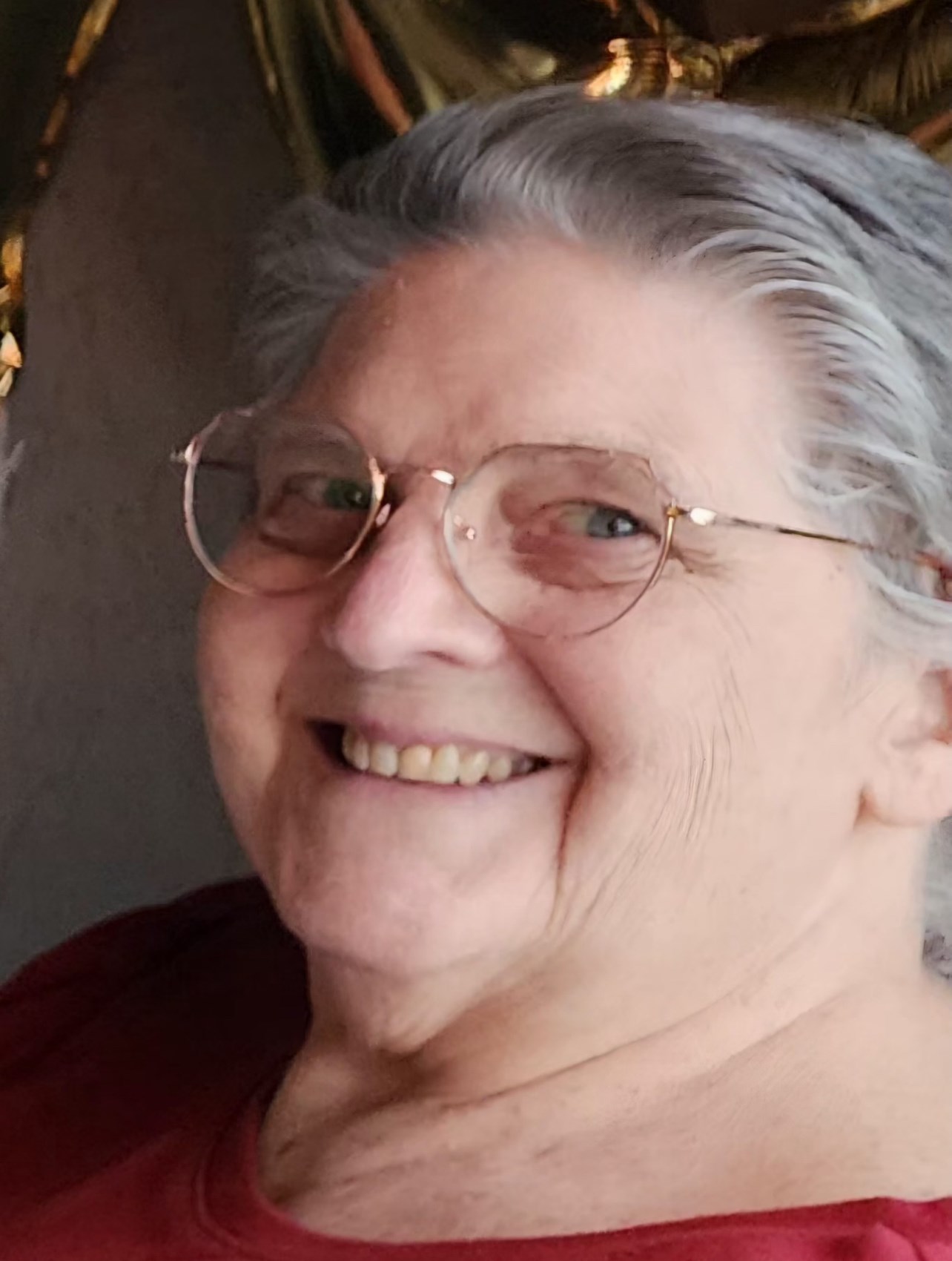 Ann Werner Obituary - Venice, FL