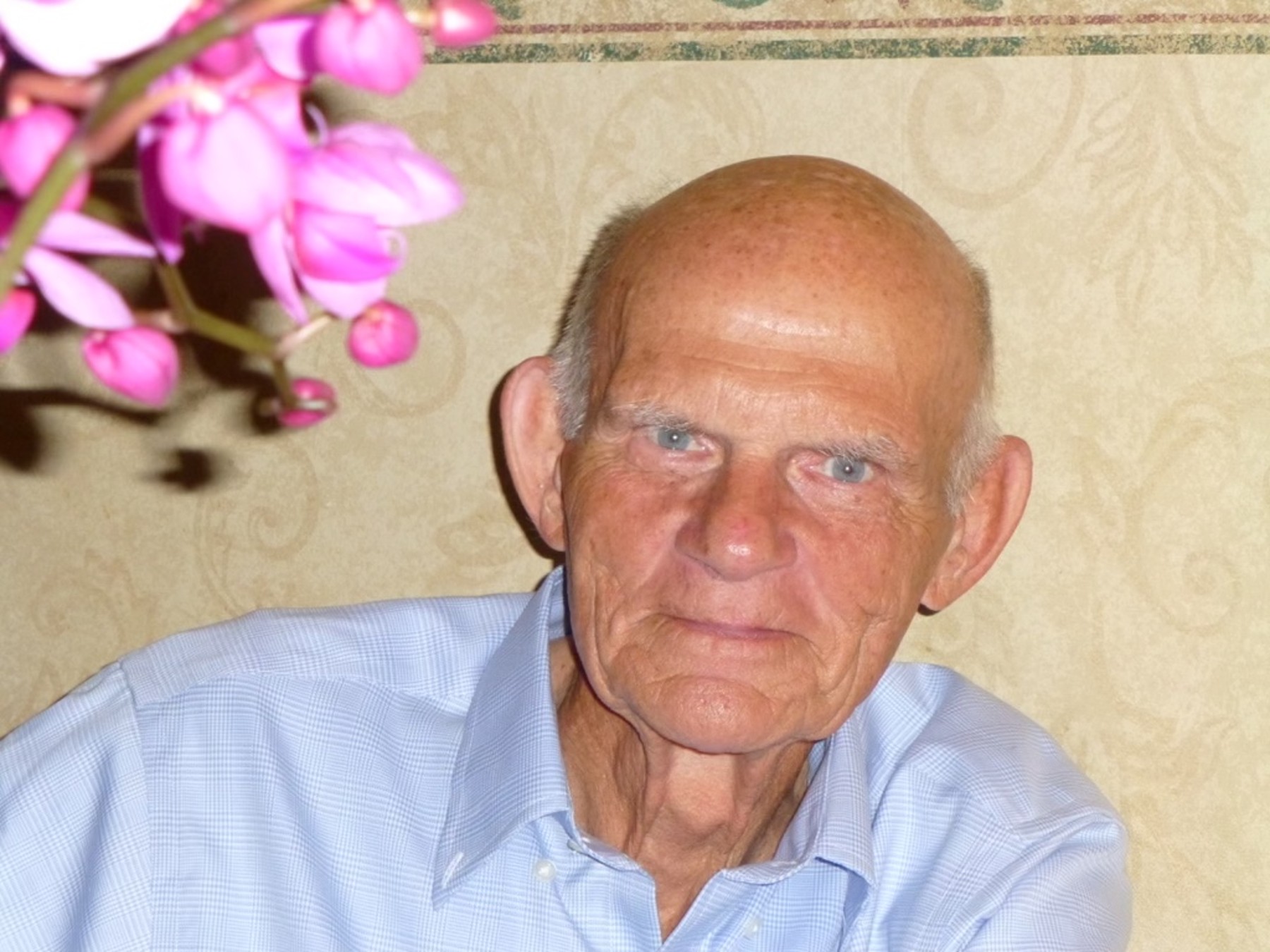 Joseph Colonna's Instagram, Twitter & Facebook on IDCrawl