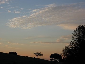 William Bill, Ding-Dong E Comyn Obituary - Portland, OR