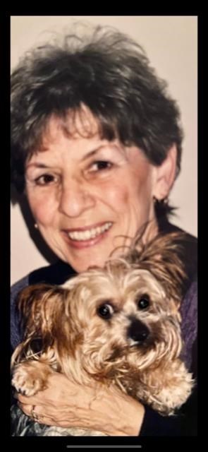 Patricia Sylvia Simpson Obituary - Peterborough, ON