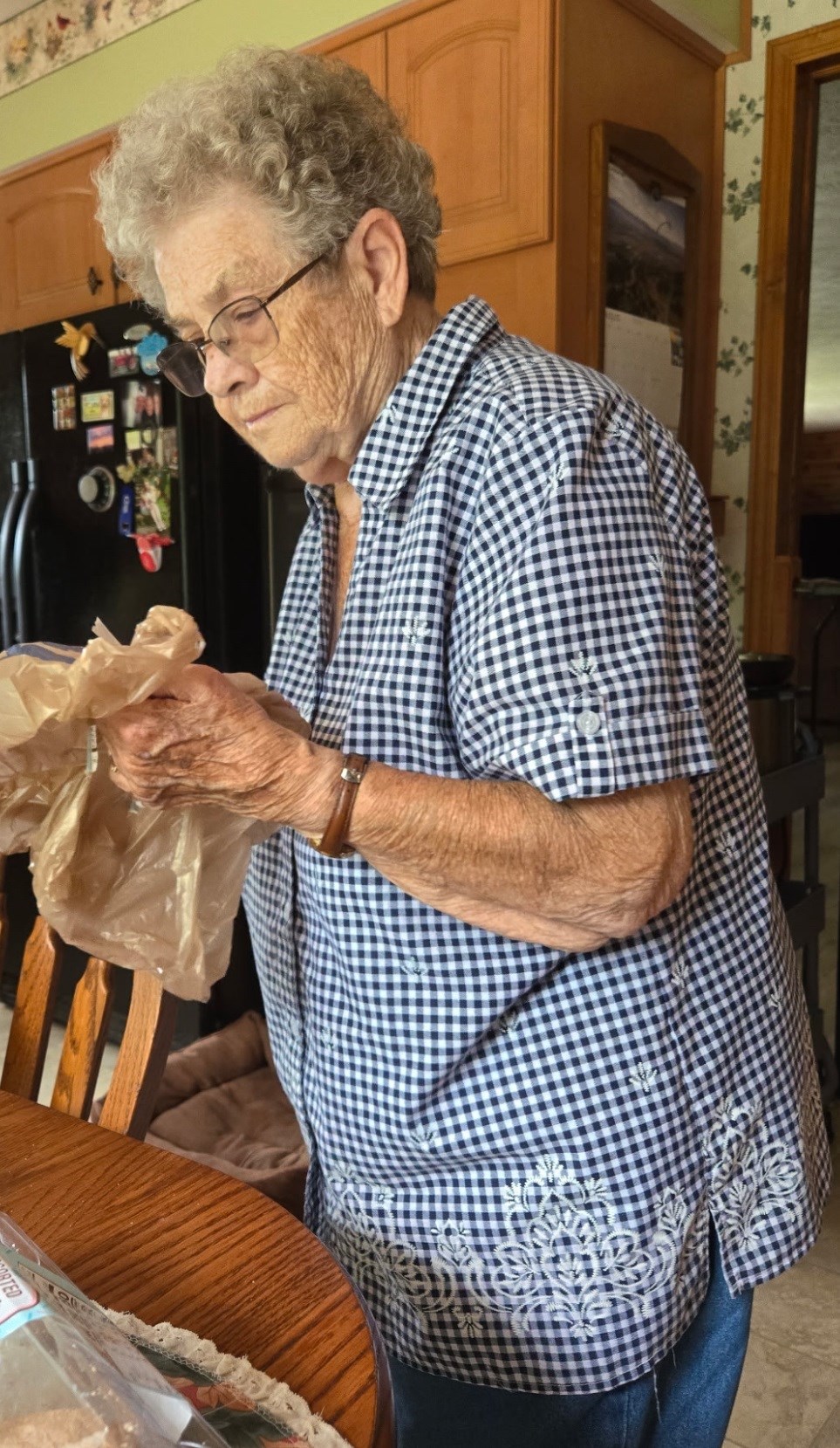 Patricia Hardtke Obituary - Albion, MI