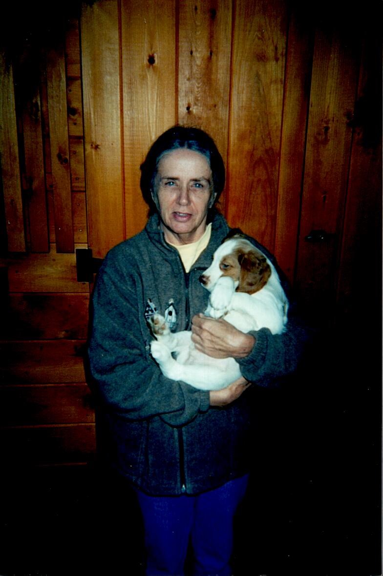 Elaine Ellis Obituary - Bourne, MA