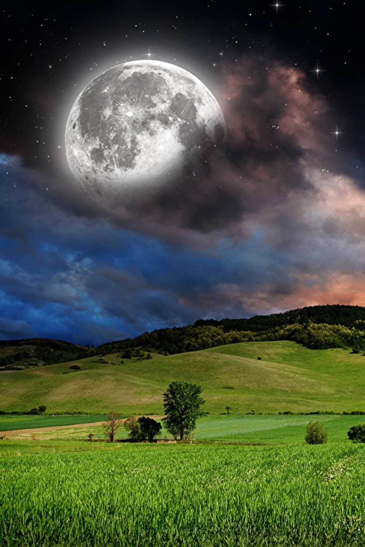 Cheryl Jean Picard Obituary - Salem, OR