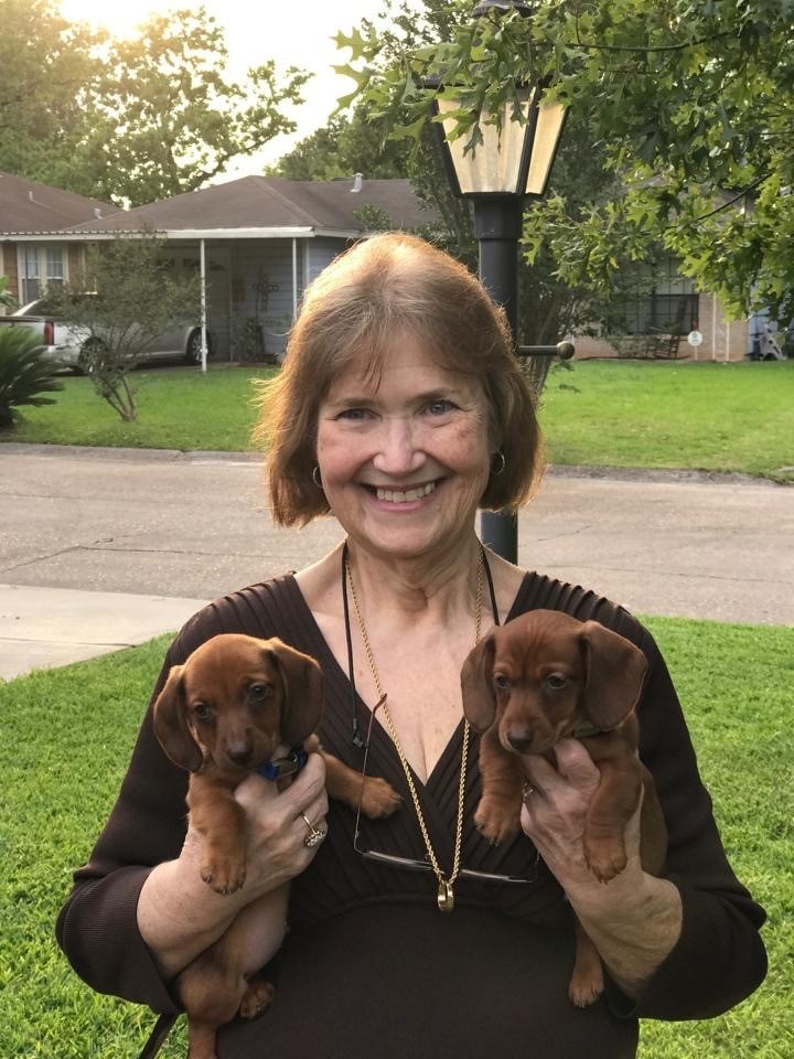 Sherry Lynn Howard Obituary - Houston, TX