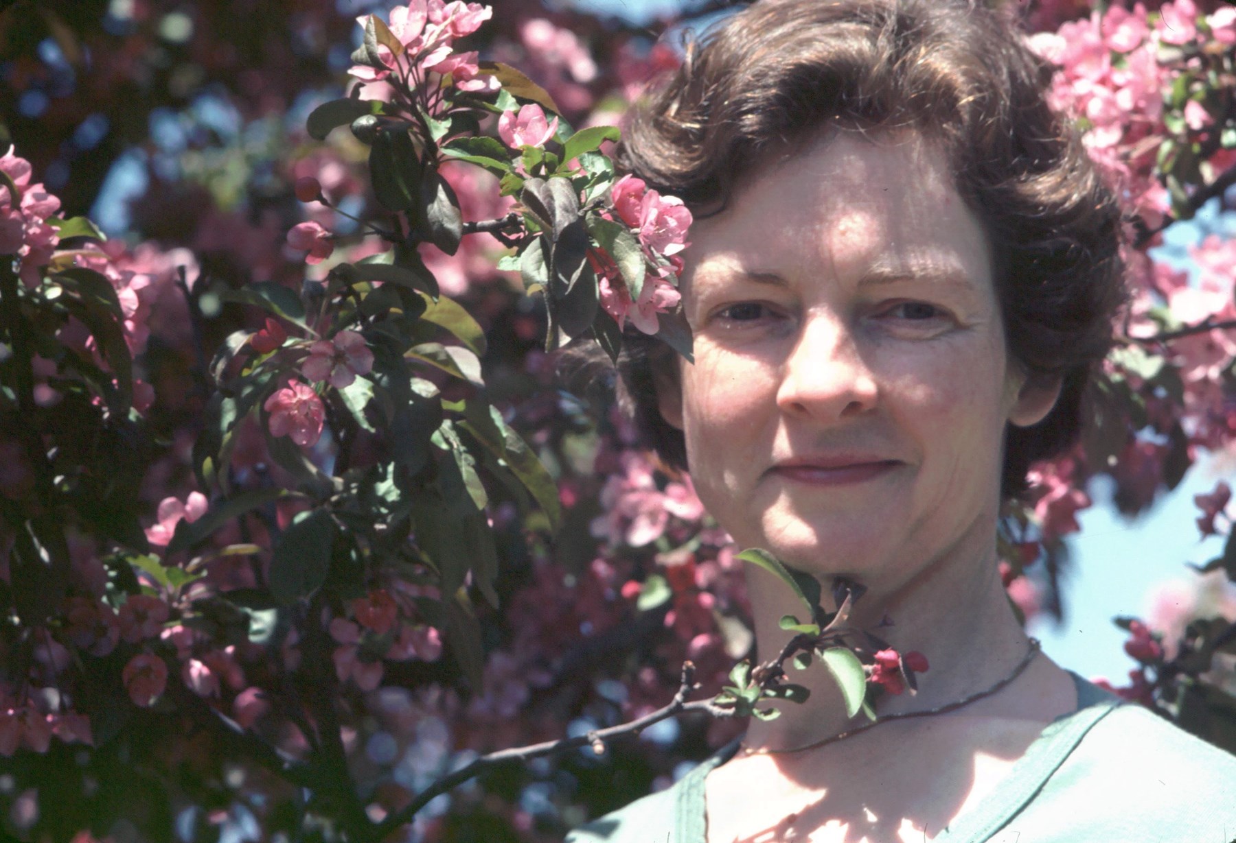 Elisabeth Headley Obituary - Duluth, MN