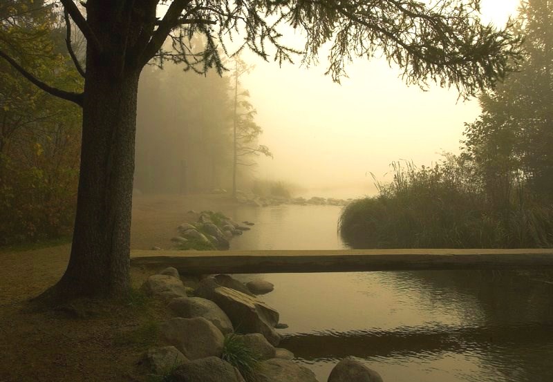 Randy Locke Obituary - St. Catharines, ON