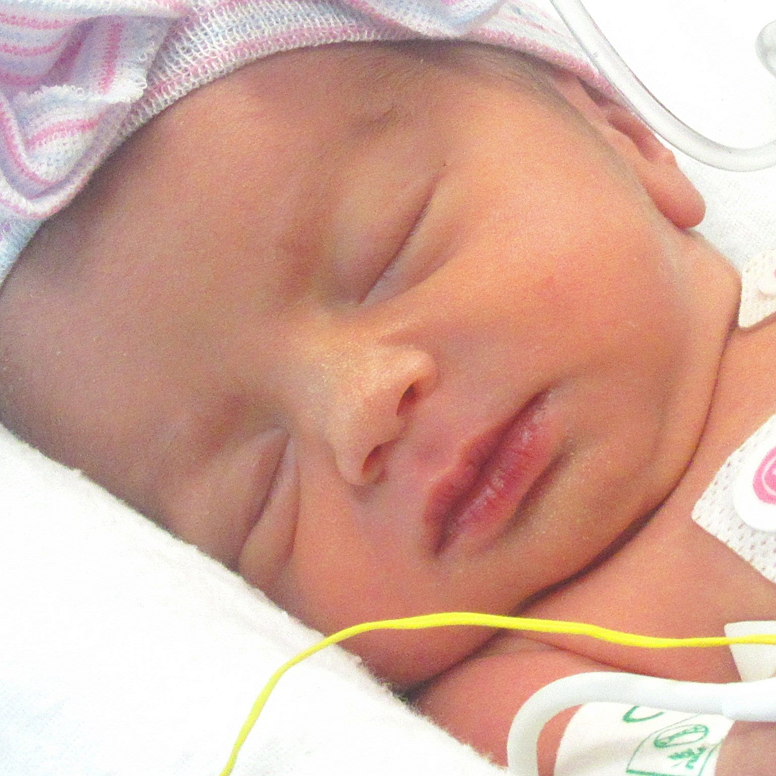 Francesca Rivera Obituary - Tampa, FL