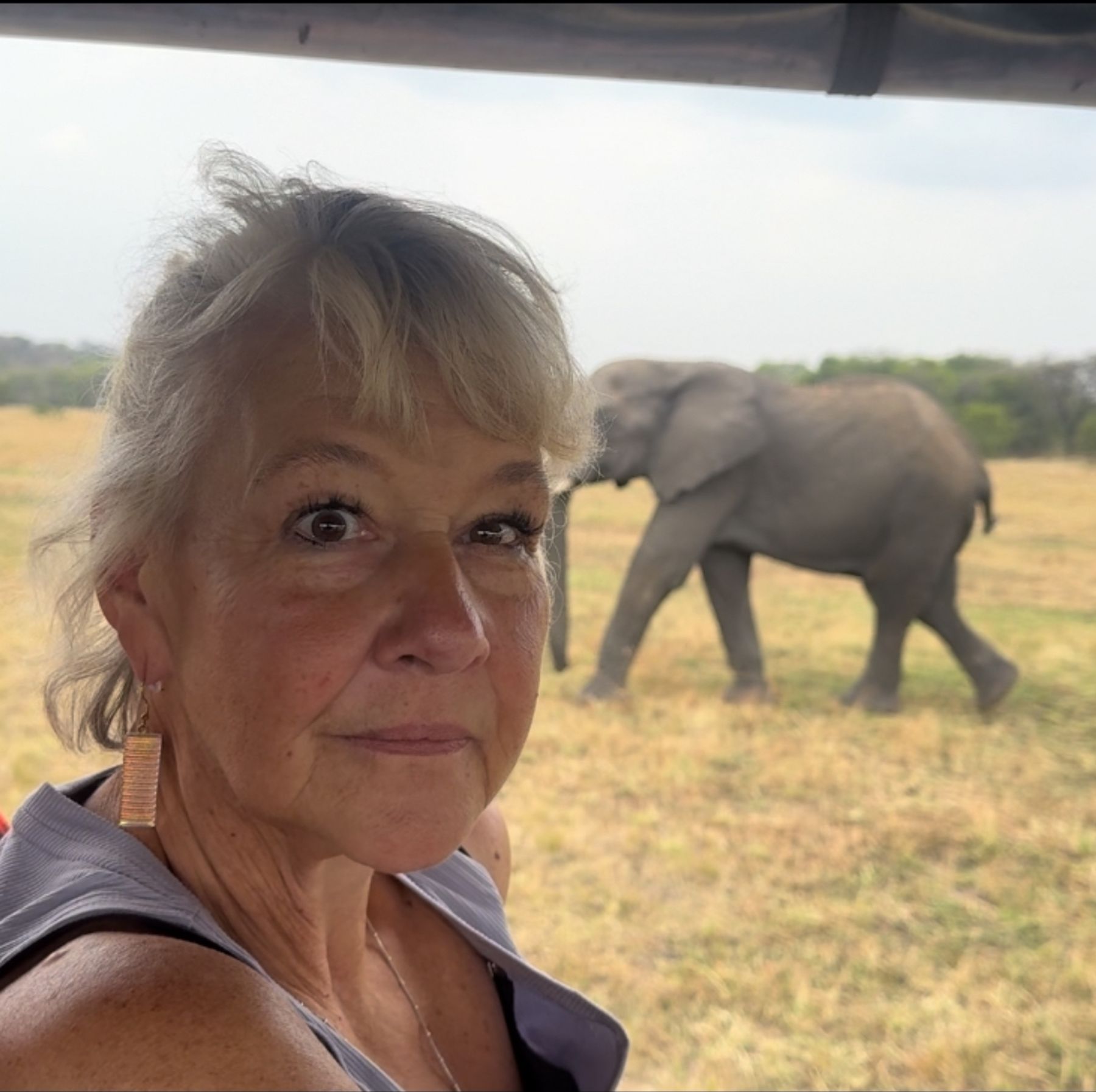 Elizabeth Maley Obituary - Staten Island, NY