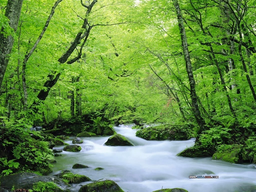 John Ruffino Obituary - Deer Park, NY